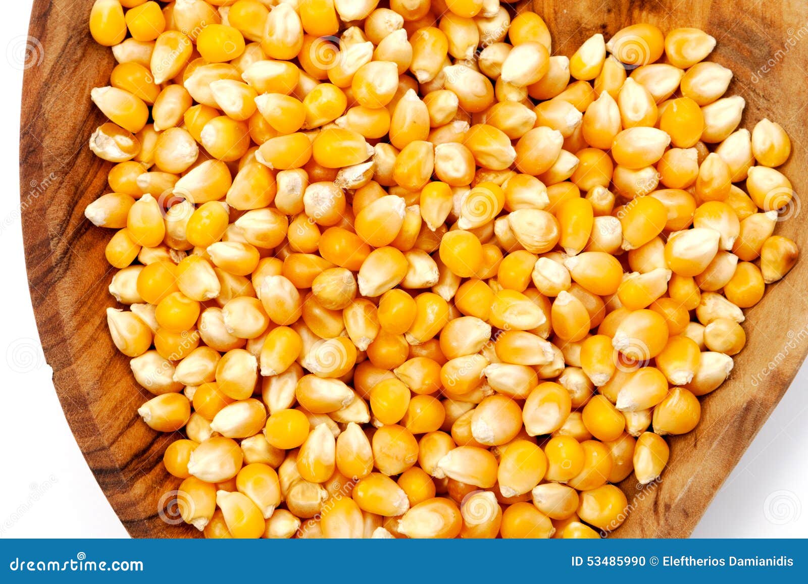 Corn beans stock photo. Image of plant, grain, background - 53485990