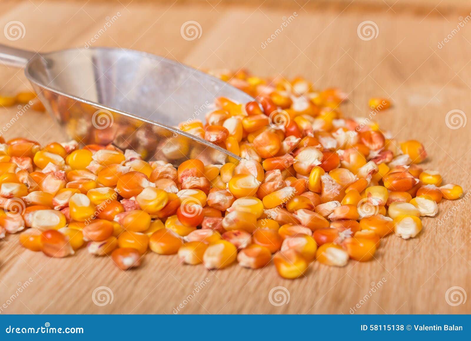 Corn beans stock photo. Image of macro, culinary, nature - 58115138
