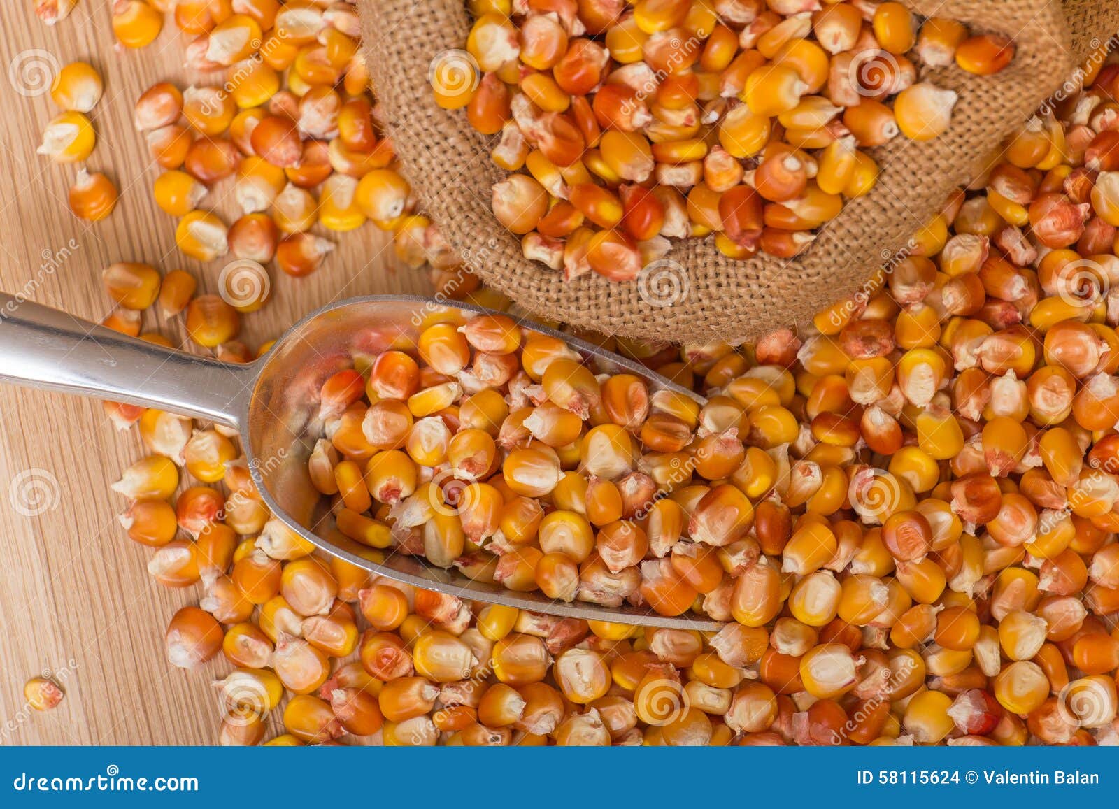 Corn beans stock photo. Image of closeup, natural, dried - 58115624