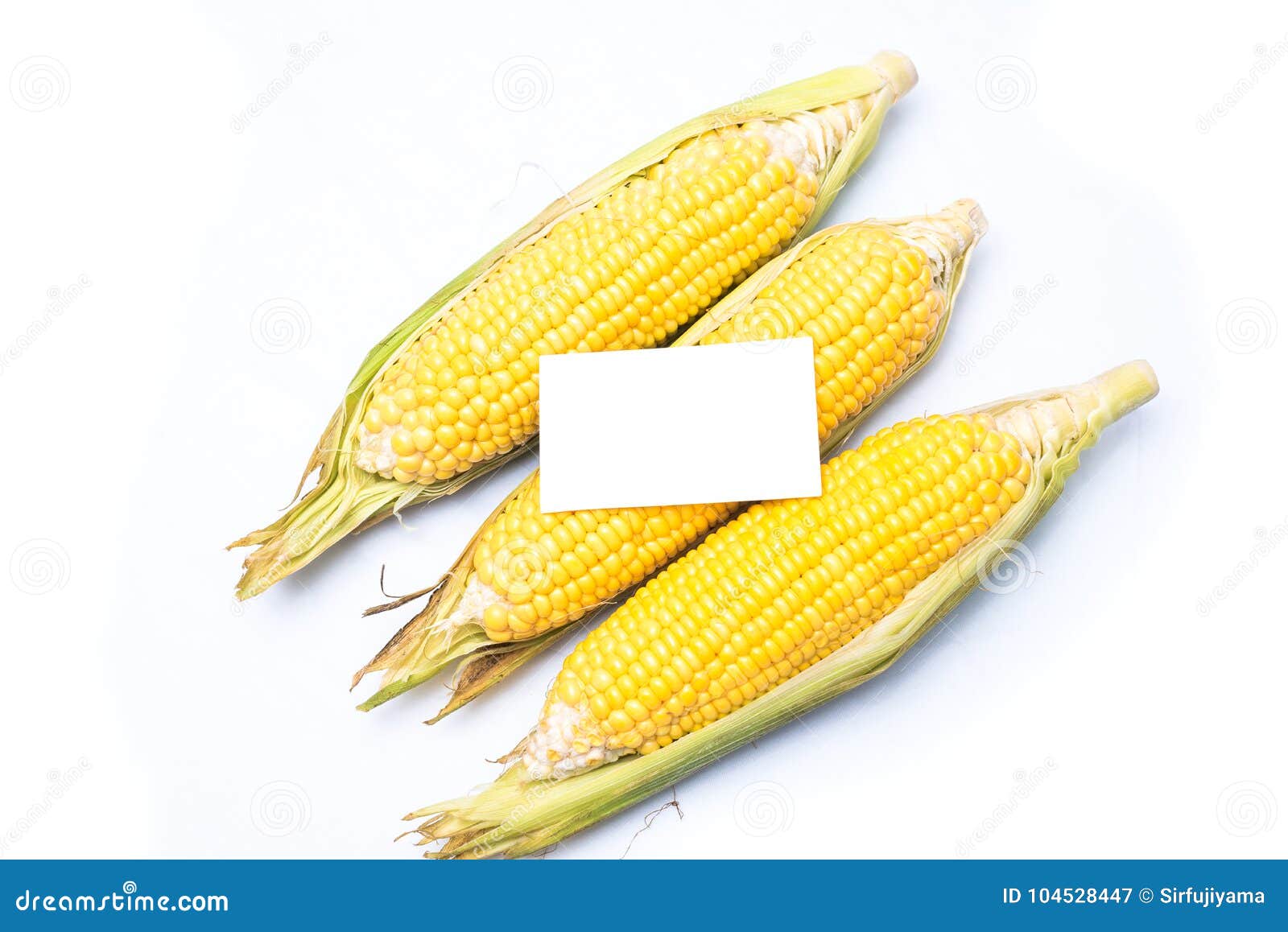 Corn with blank note stock image. Image of closeup, sweetcorn - 104528447