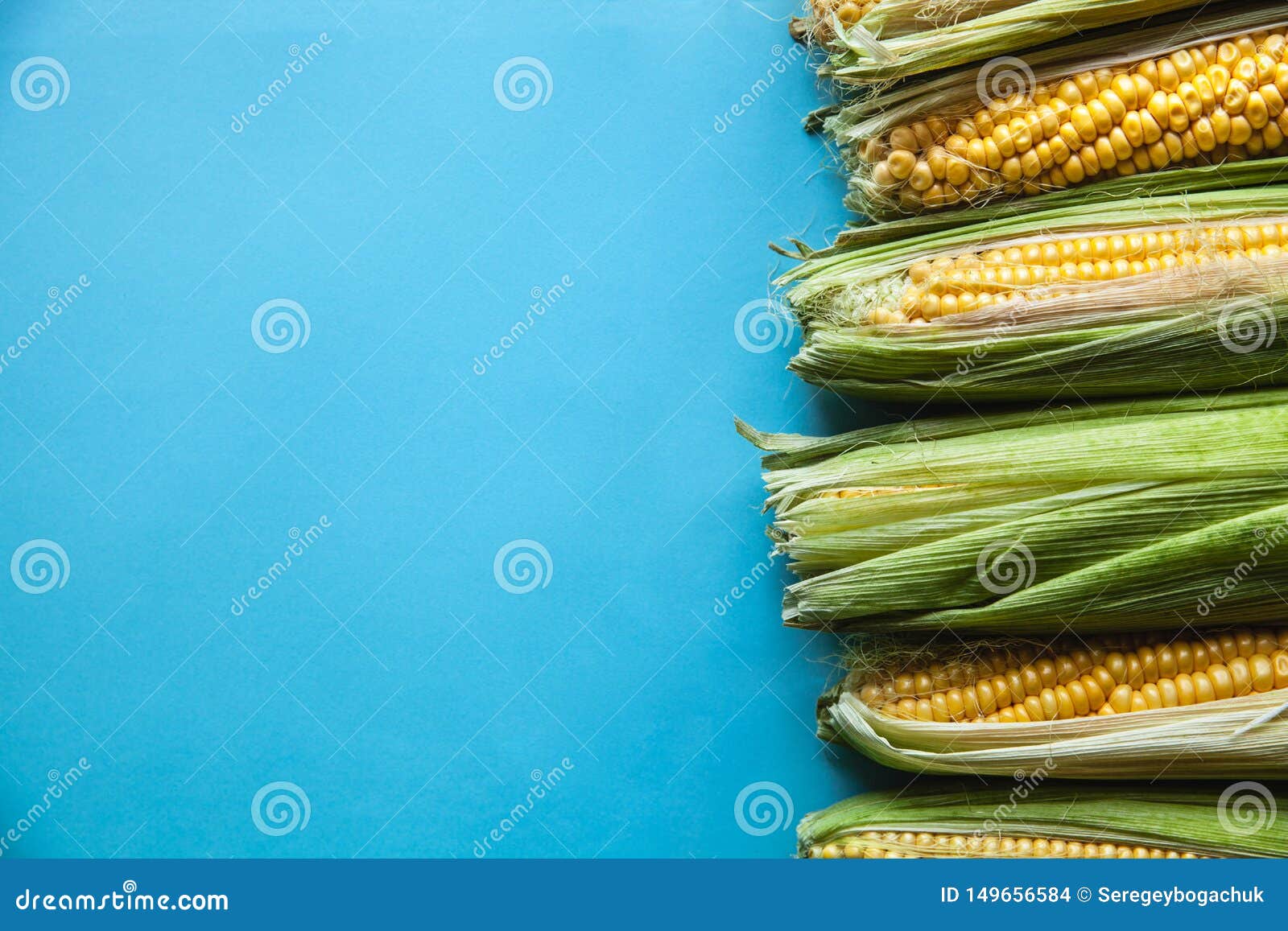 Corn on a Blue Background, Healthy Food, Fruit Stock Photo - Image of ...