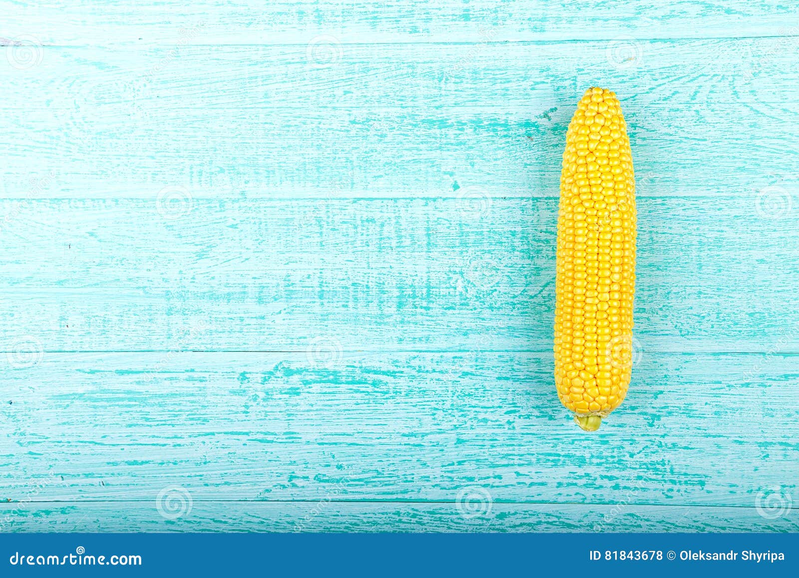 Corn on a blue background stock photo. Image of corn - 81843678