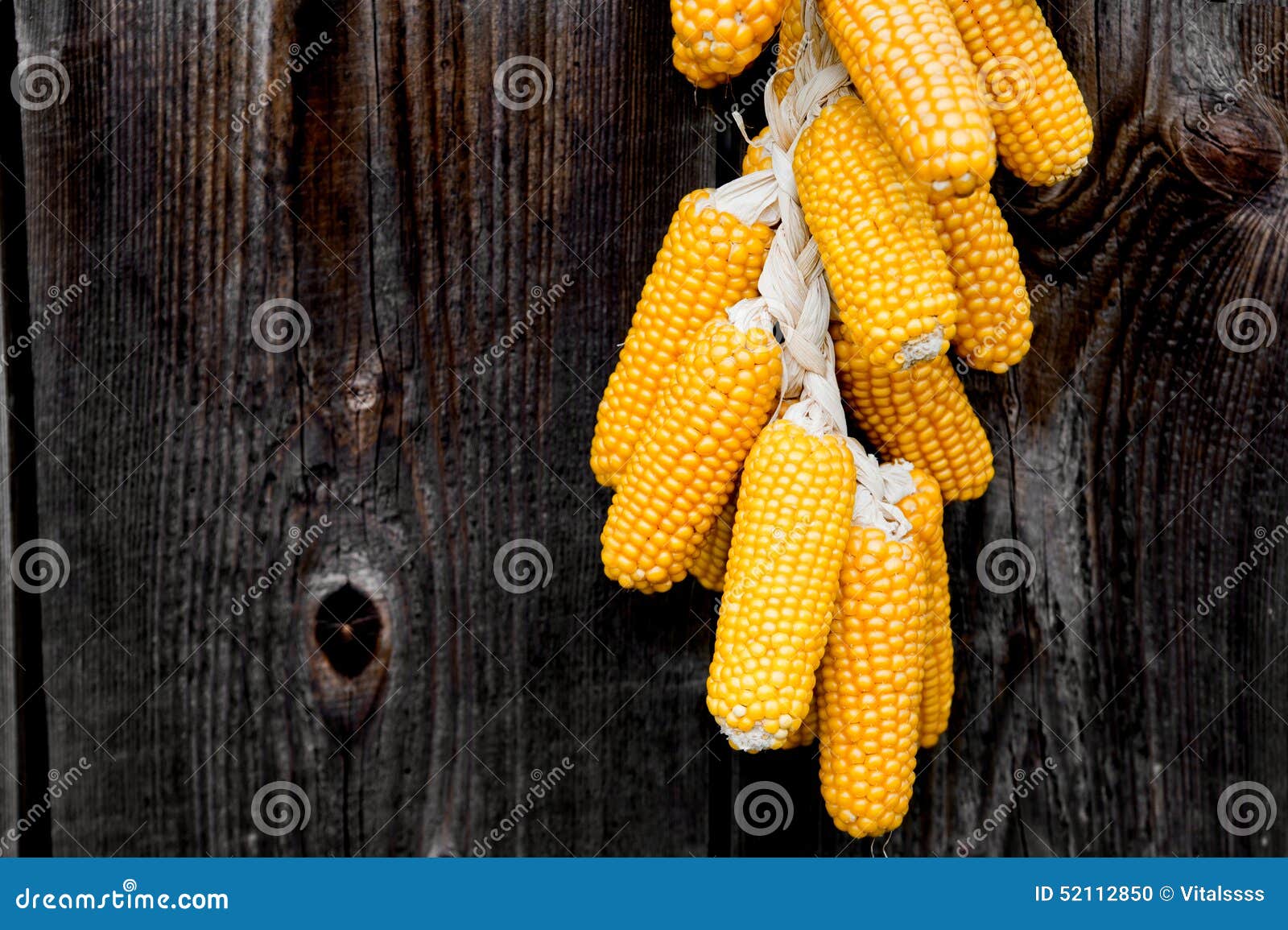 Corn stock photo. Image of nutrition, texture, ingredient - 52112850