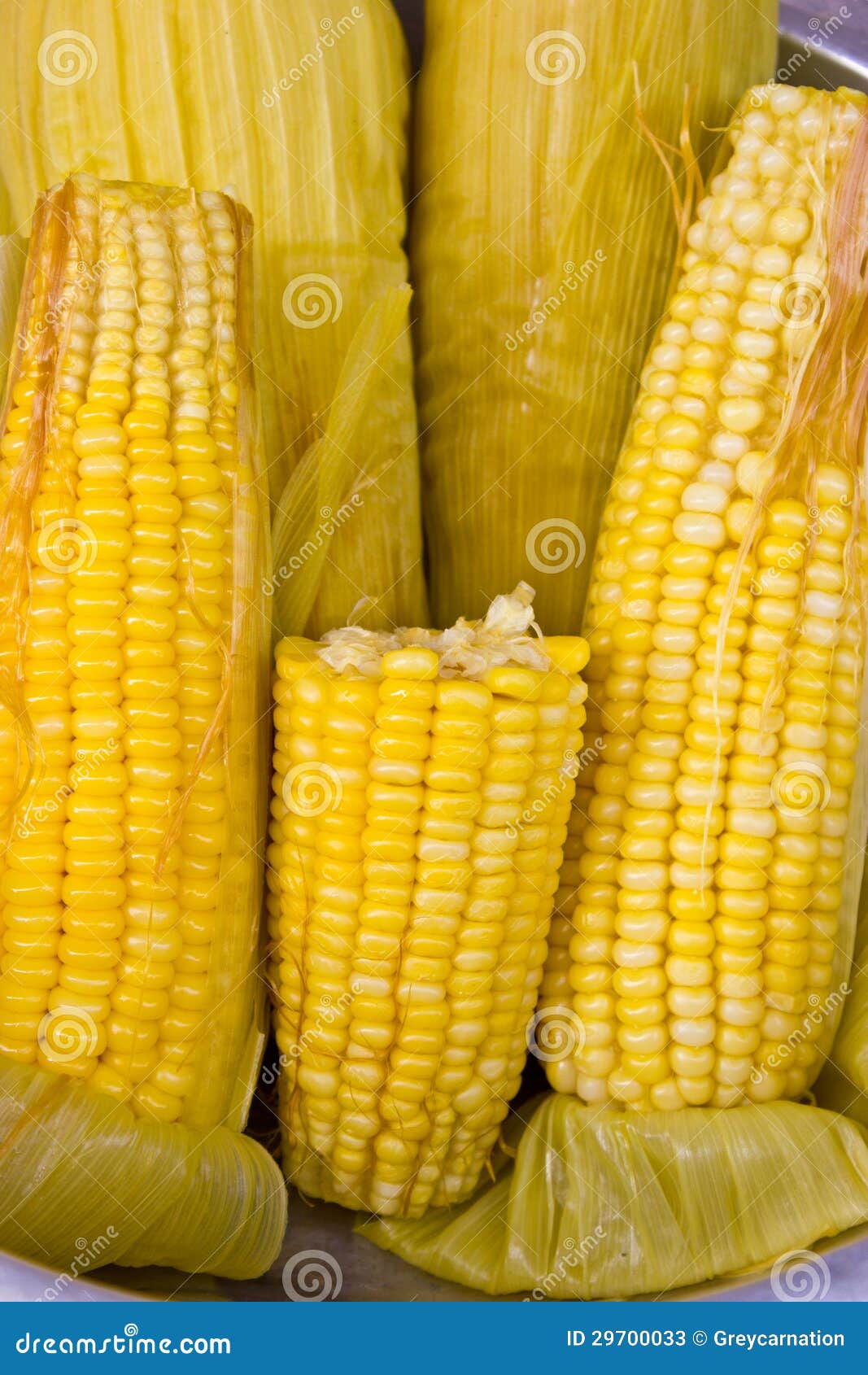 Corn Boil stock image. Image of tasty, nature, snack - 29700033