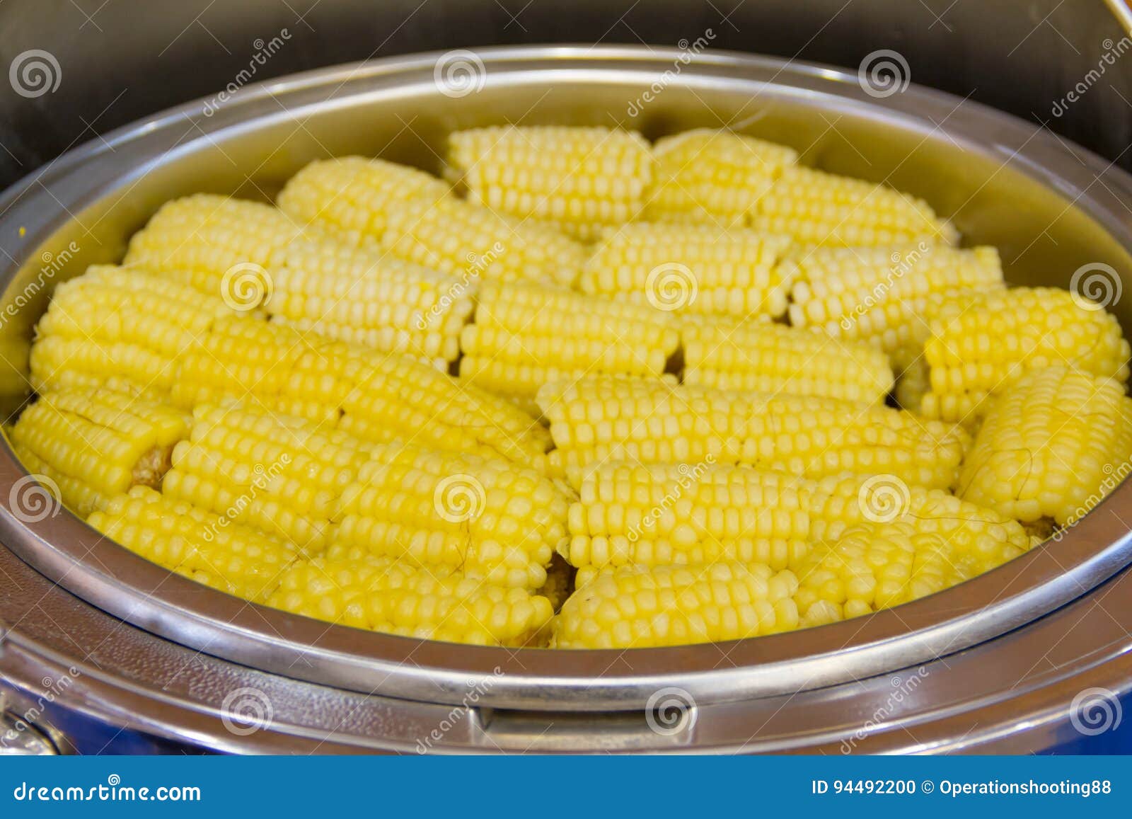 Corn boil stock photo. Image of boil, maize, people, nature - 94492200