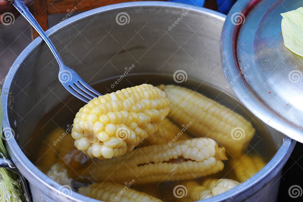 Corn boiling in pot stock photo. Image of plant, corn - 260986798