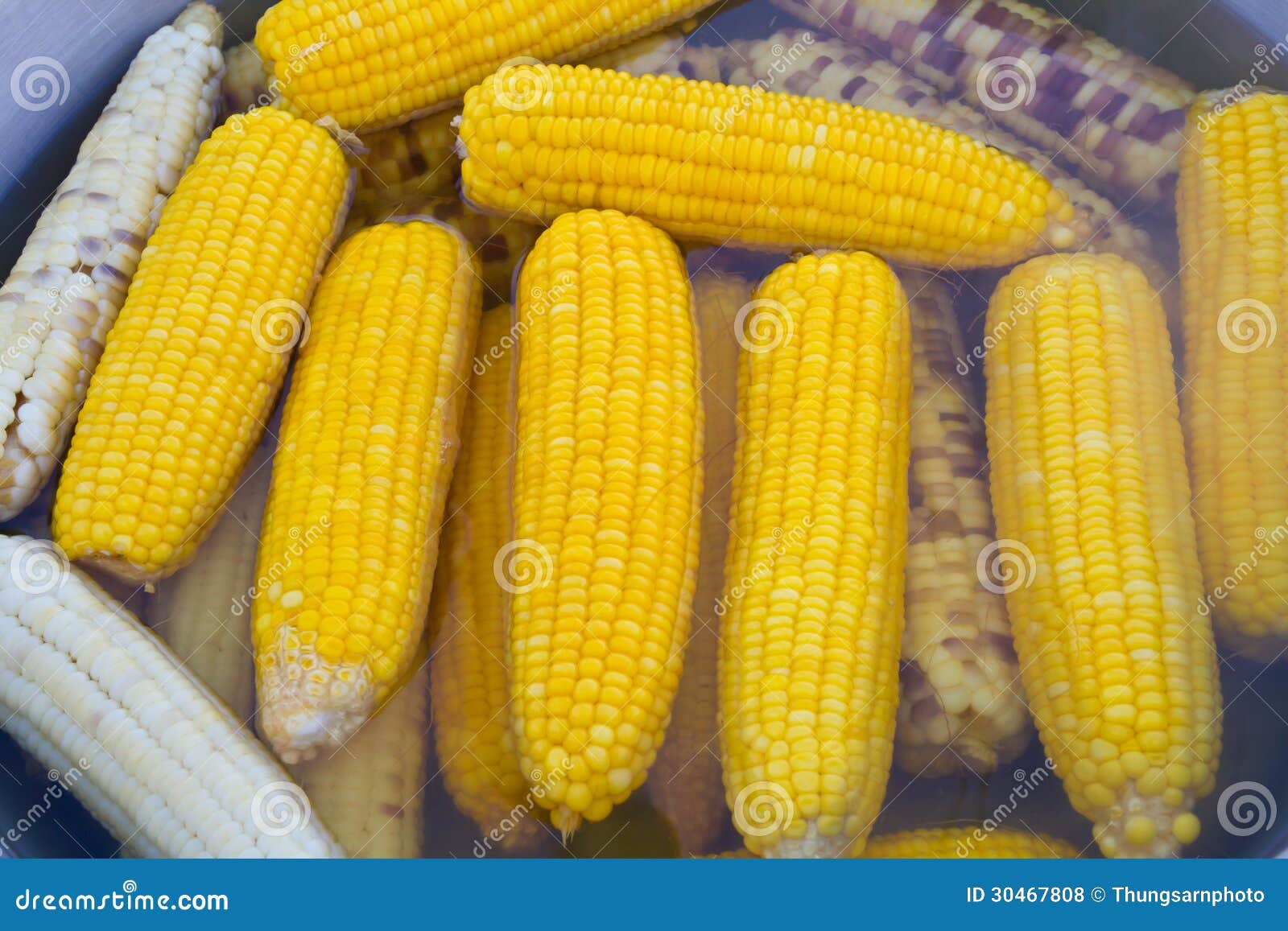 Corn boiling in pot stock photo. Image of butter, diet - 30467808