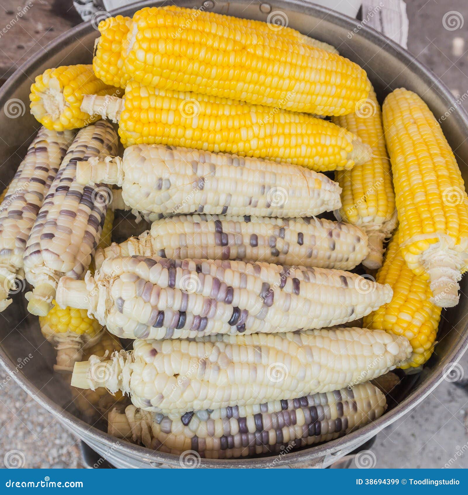 Corn boiling in pot. stock image. Image of corn, cooking - 38694399