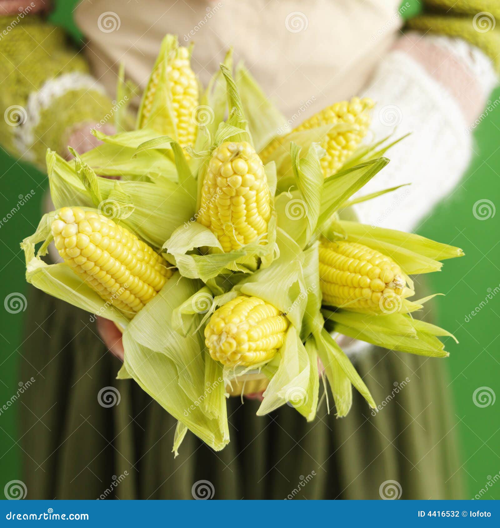 Corn bouquet stock photo. Image of photograph, american - 4416532