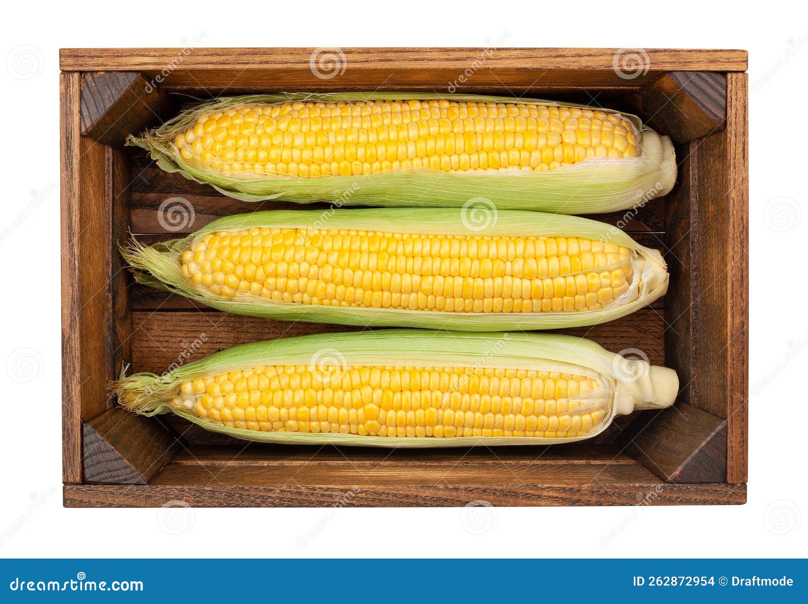 Corn in a box stock photo. Image of yellow, wooden, vegetables - 262872954
