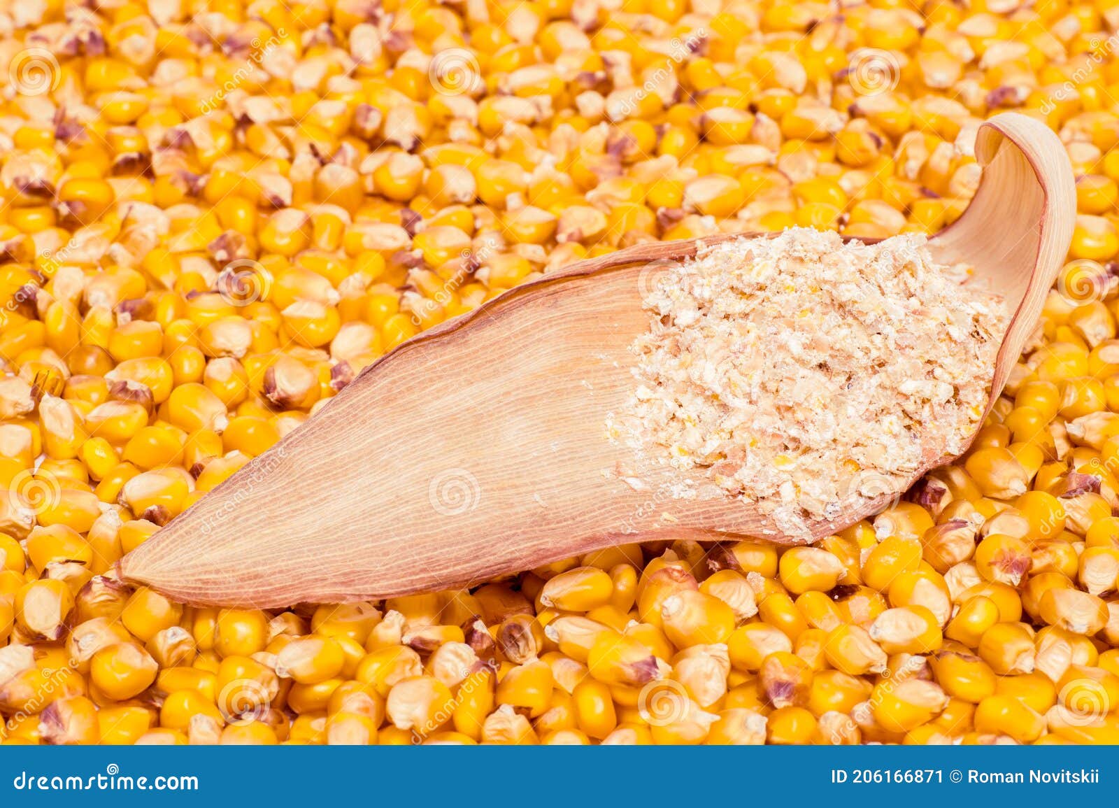 Corn Bran is Stacked on a Dry Brown Corn Leaf on a Yellow Background of ...