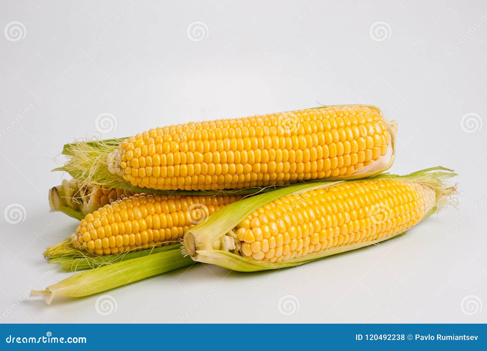 Corn Bright Juicy Vegetarian Shot Over White Background Stock Photo ...
