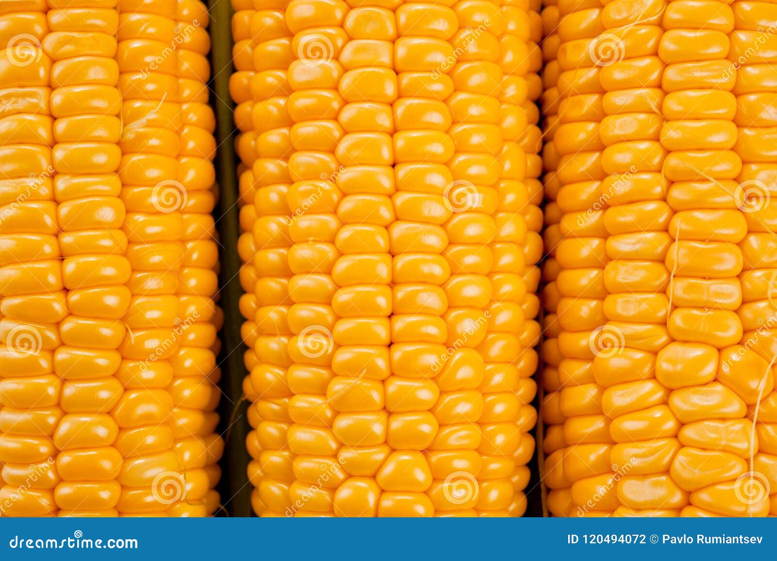 Corn Bright Juicy Vegetarian Shot Over White Background Stock Photo ...
