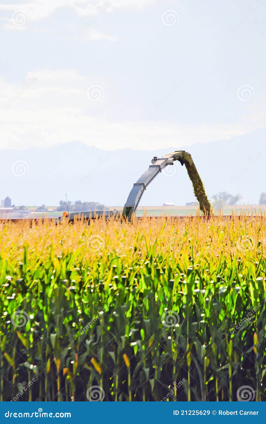 Corn Chopped Loading a Waiting Truck Stock Image - Image of farmland ...