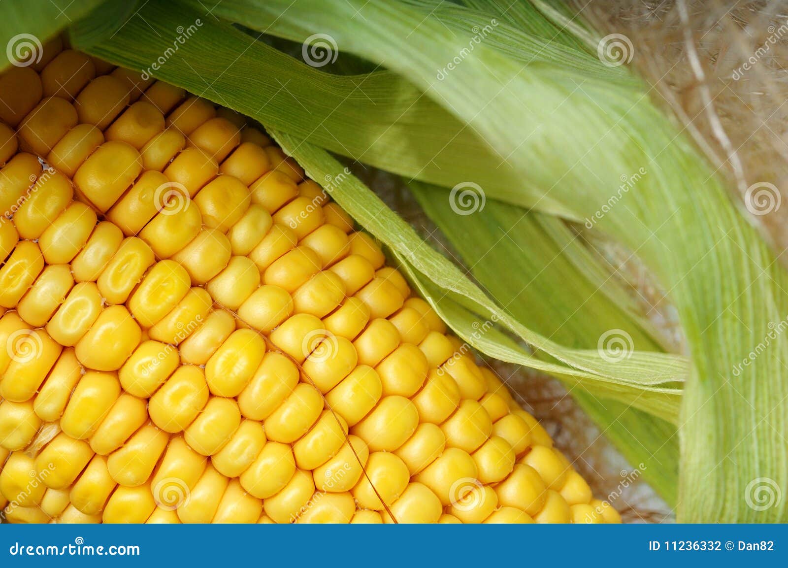 Corn close up stock photo. Image of crop, food, harvest - 11236332