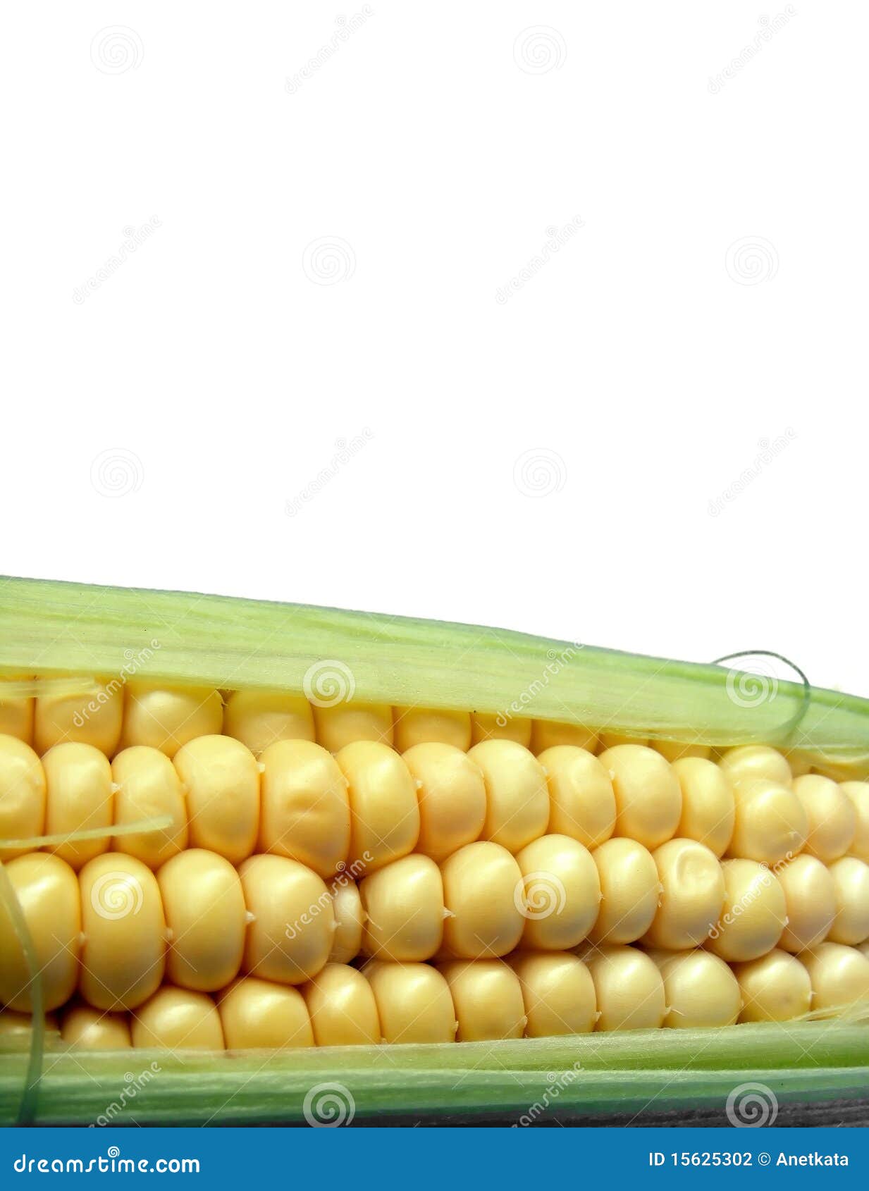 Corn - close up stock photo. Image of food, niblet, crop - 15625302