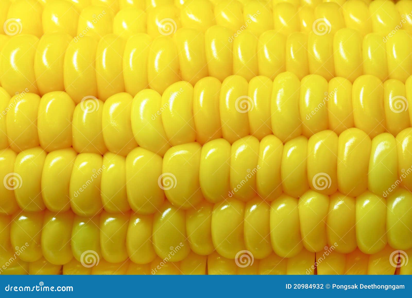 Corn close up stock photo. Image of agriculture, cornflakes - 20984932