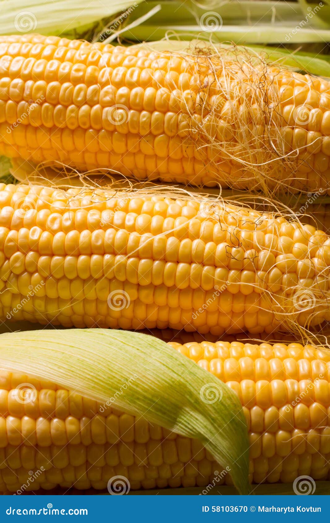 Corn close-up. stock photo. Image of ripe, kitchen, farm - 58103670