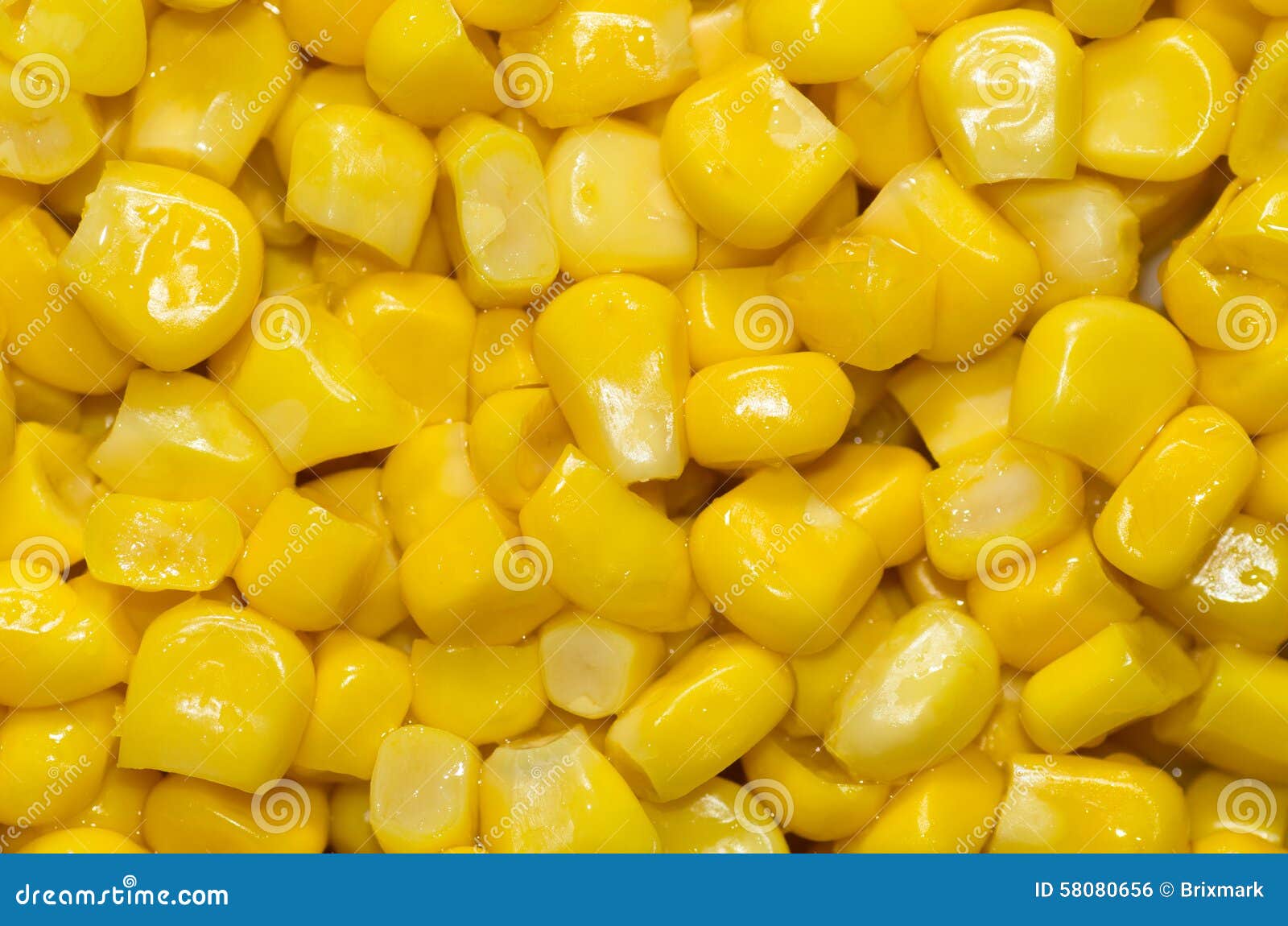 Corn stock photo. Image of bunch, yellow, natural, edible - 58080656
