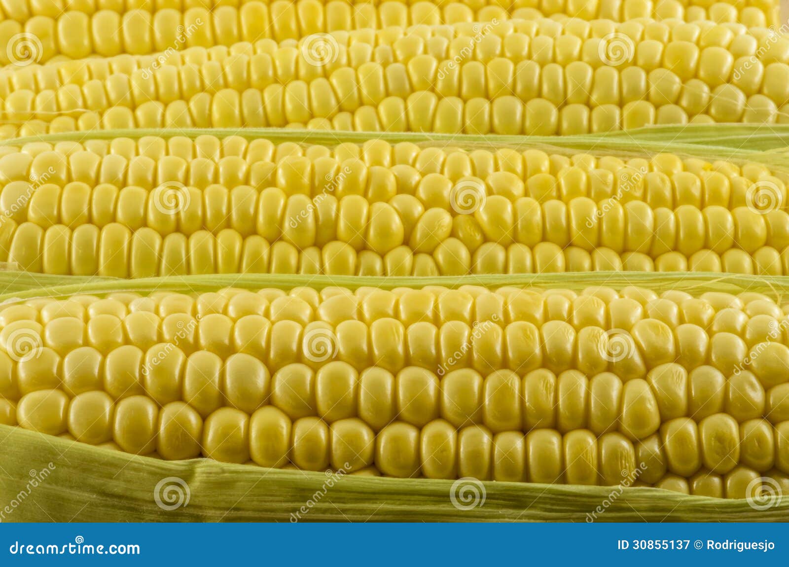 Corn Close Up 05 stock image. Image of color, diet, meal - 30855137