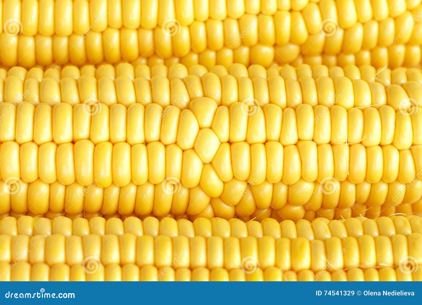 Corn Close-up Full Frame Background Stock Image - Image of ripe, drink ...