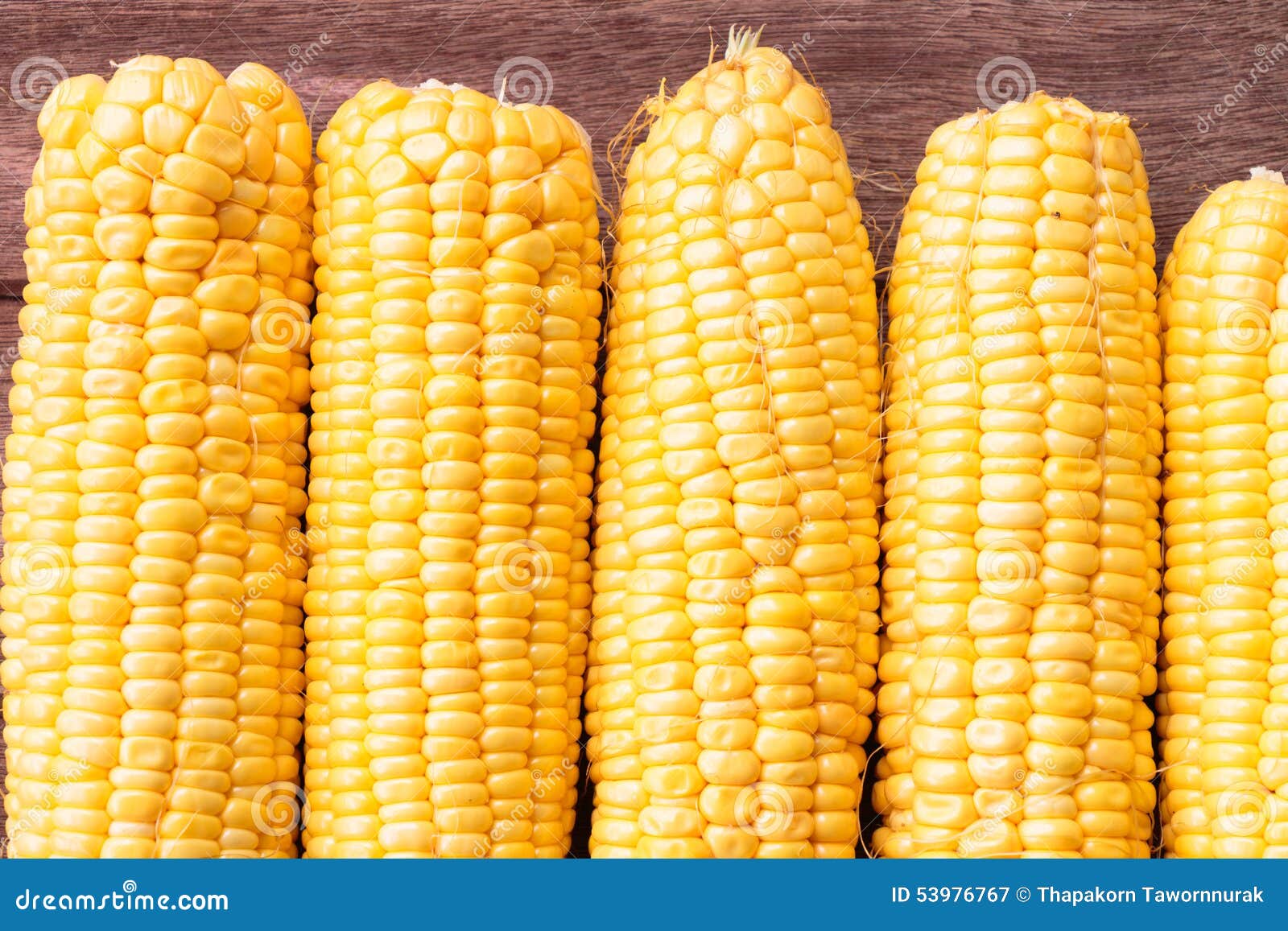 Corn close up stock image. Image of meal, background - 53976767