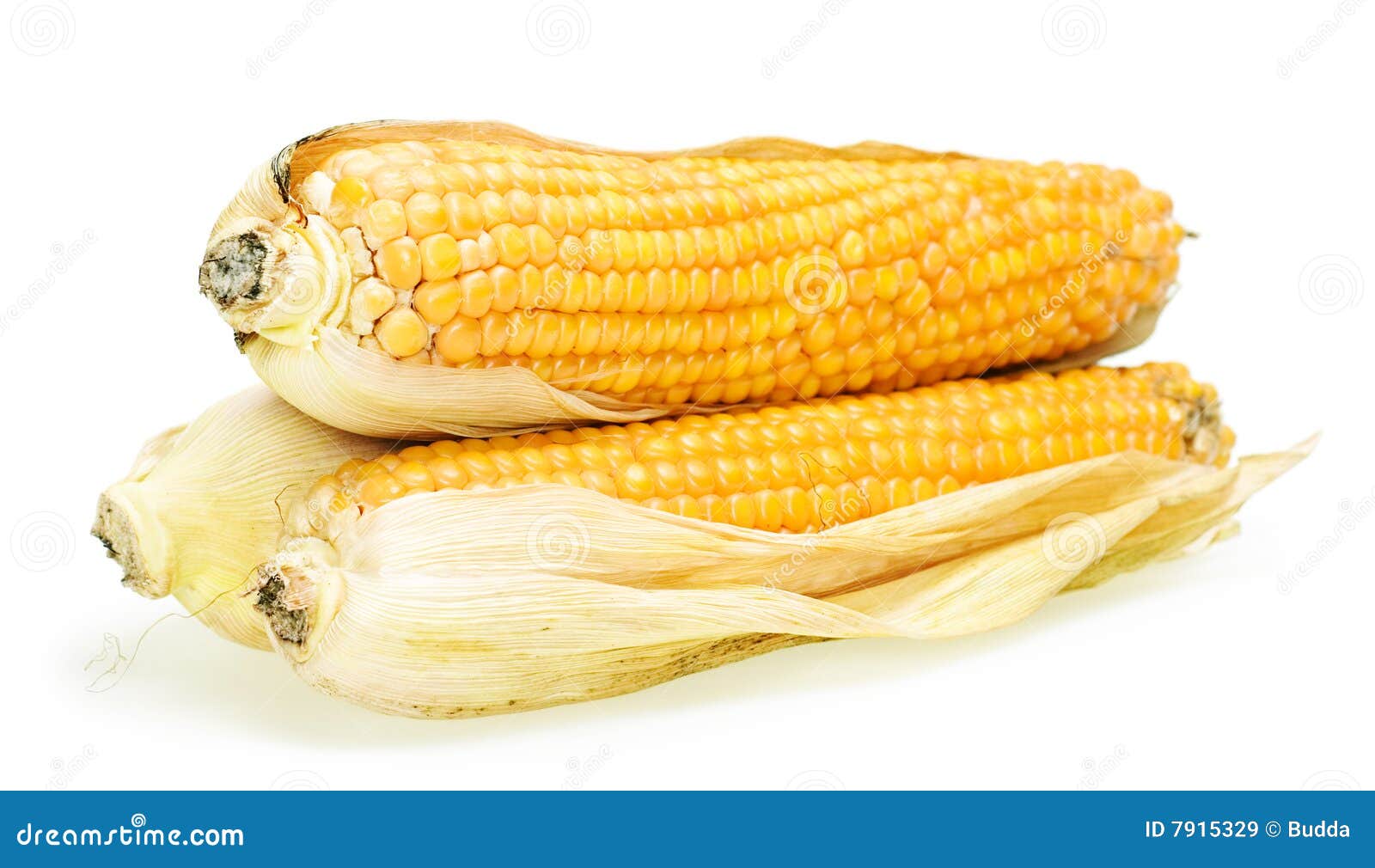 Corn closeup stock image. Image of texture, macro, pattern - 7915329