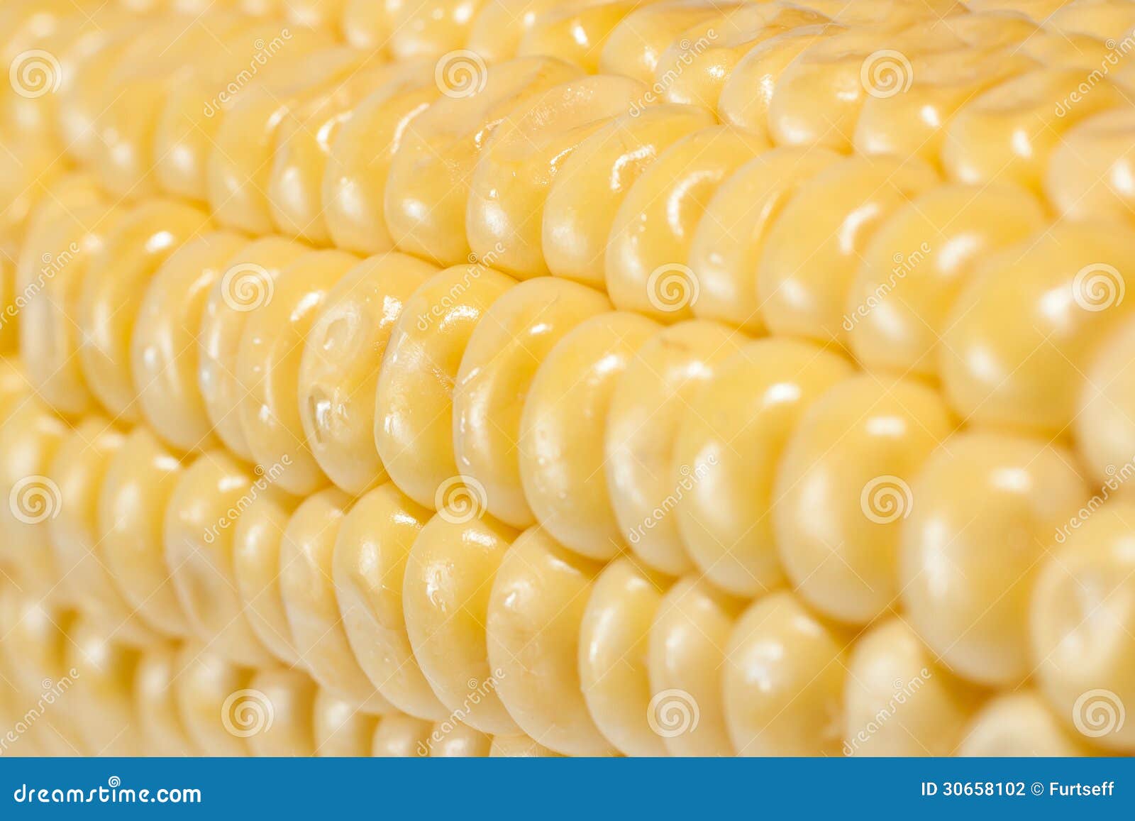 Corn closeup stock photo. Image of closeup, close, fresh - 30658102