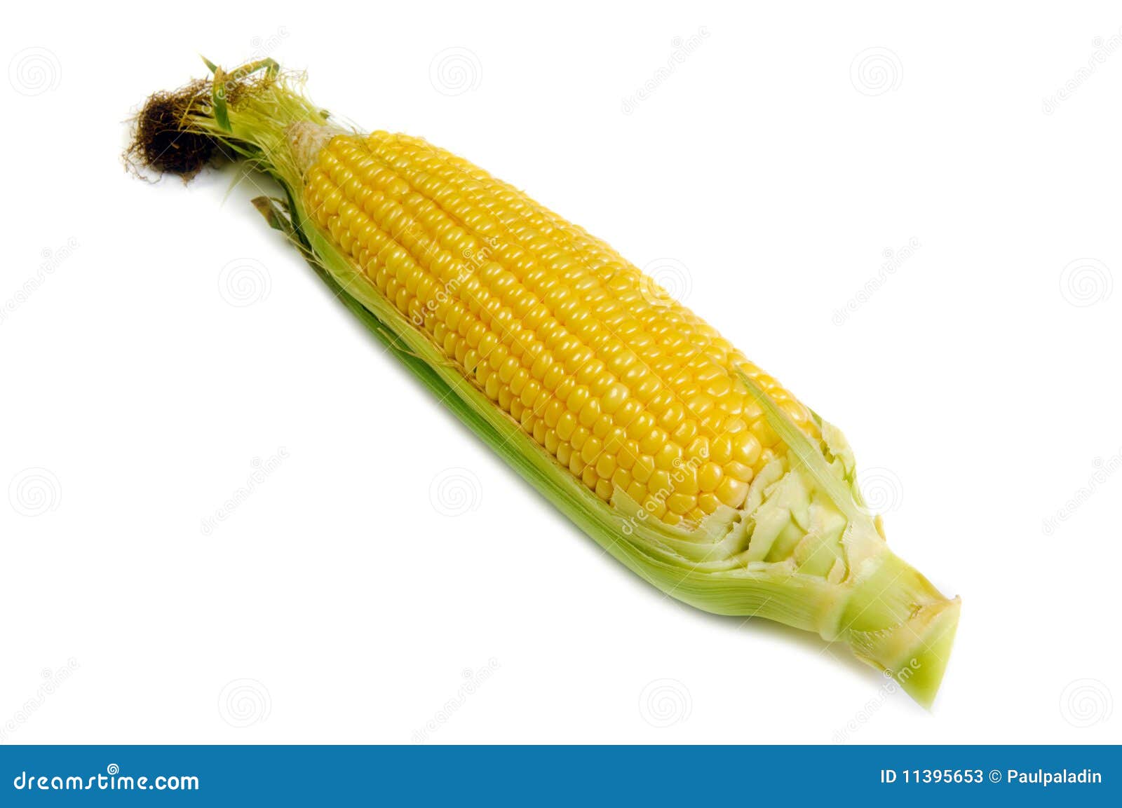 Corn cob stock image. Image of healthy, staple, husk - 11395653