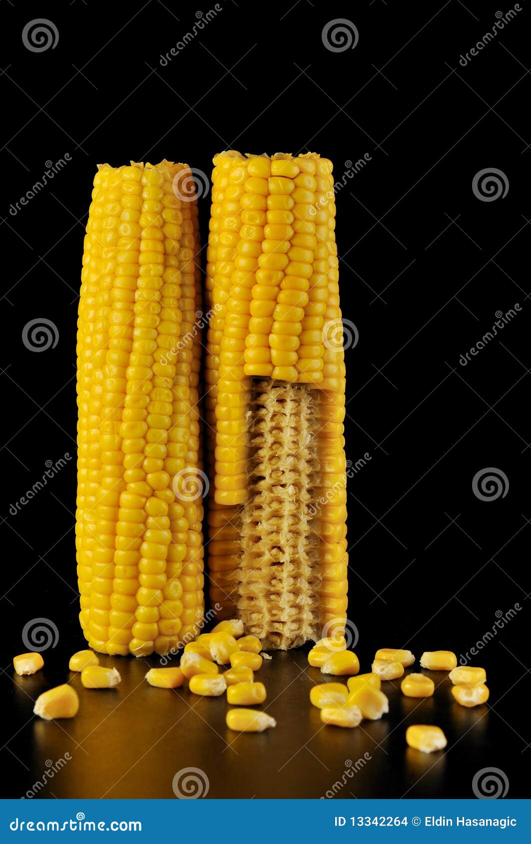 Corn cob stock photo. Image of food, ingredient, leaf - 13342264