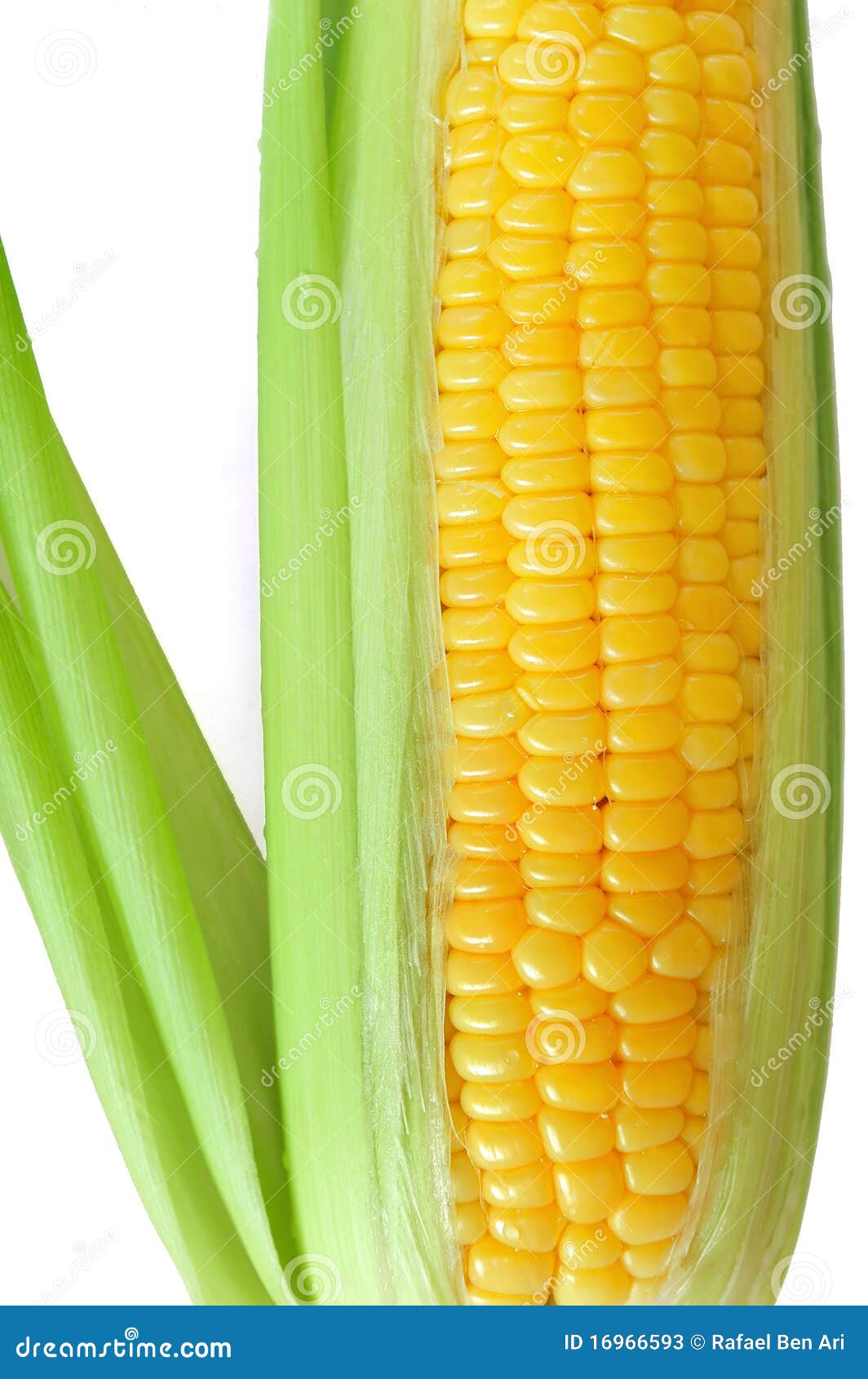 Corn Cob stock image. Image of closeup, diet, calorie - 16966593