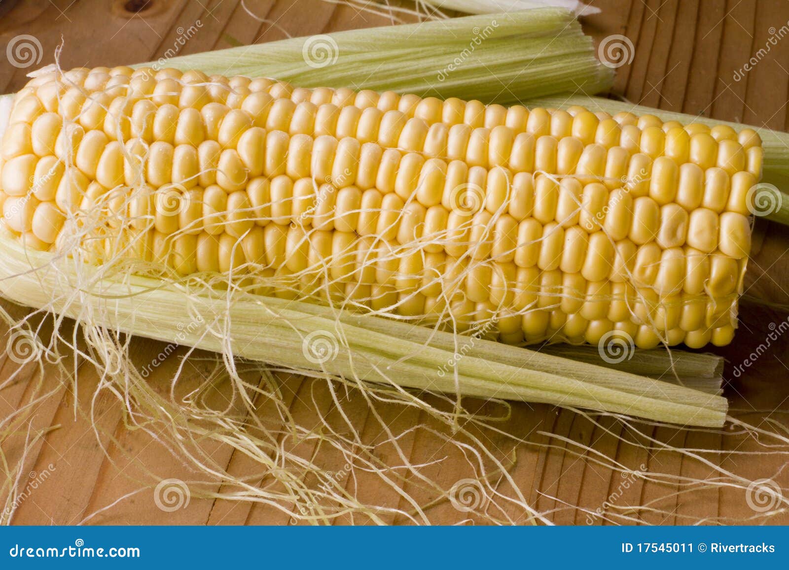 Corn cob stock image. Image of maize, corn, uncooked - 17545011