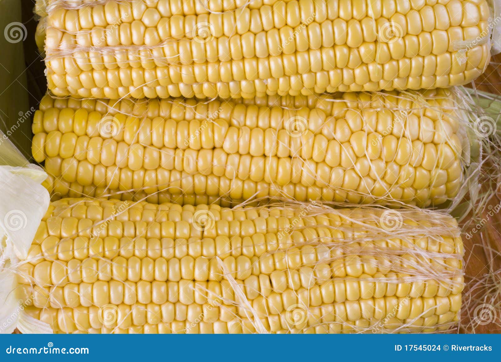 Corn cob stock photo. Image of vegetable, plant, meal - 17545024