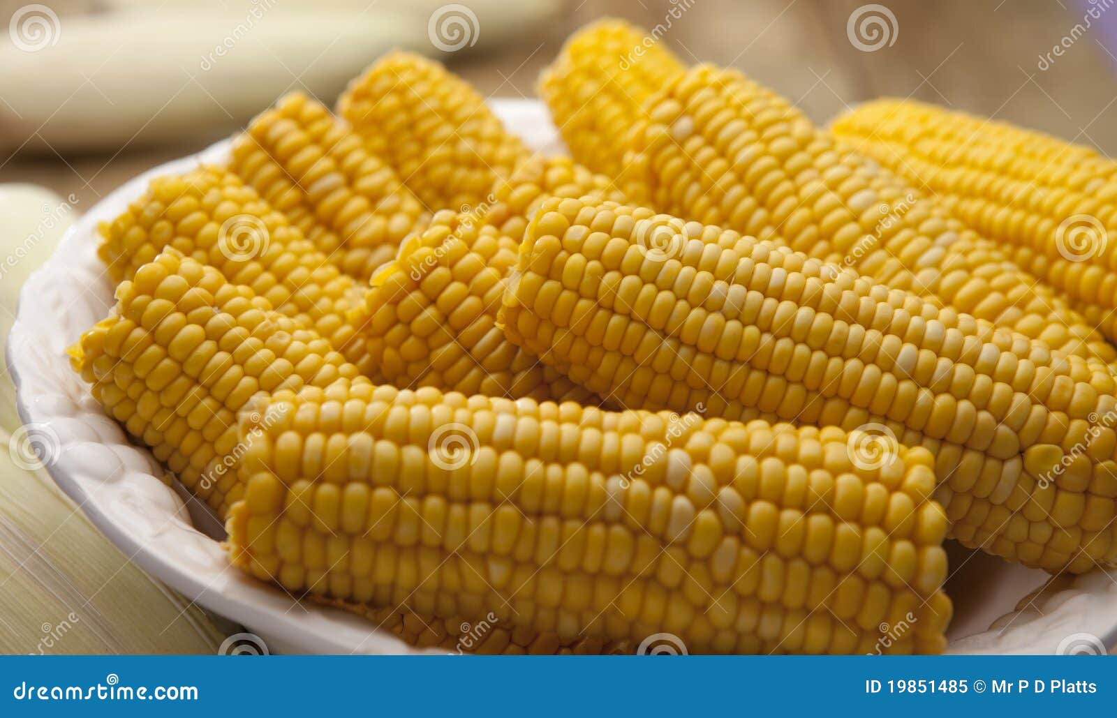 Corn on the cob stock image. Image of delicious, golden - 19851485