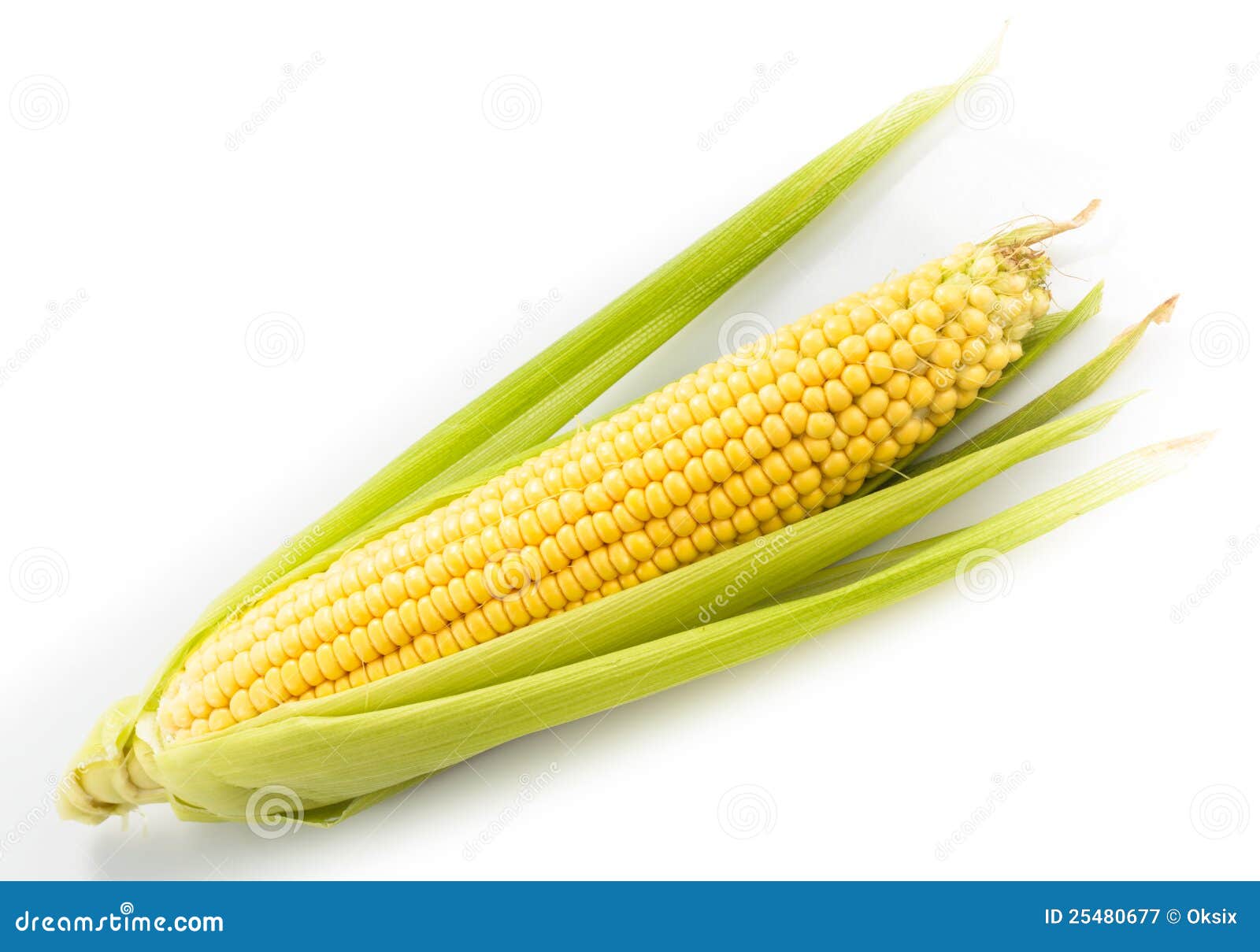 Corn cob stock image. Image of garden, harvest, delicate - 25480677