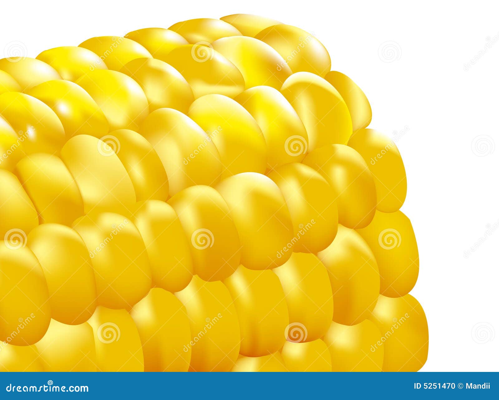 Corn cob stock illustration. Illustration of food, graphic - 5251470