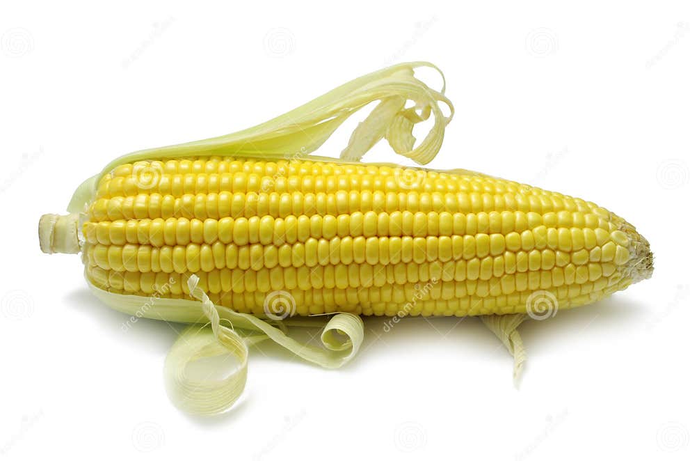 Corn Cob stock image. Image of corn, diet, nutrition, white - 5349231