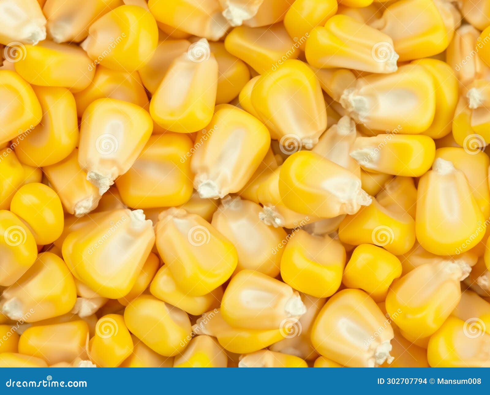 Corn on the cob background stock illustration. Illustration of closeup ...