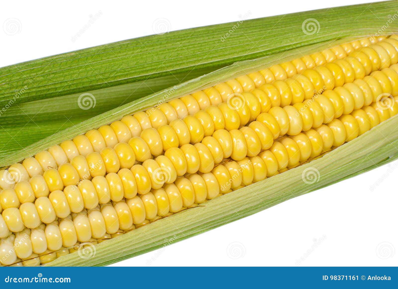 Corn Cob Closeup on White Background Stock Image - Image of cooking ...
