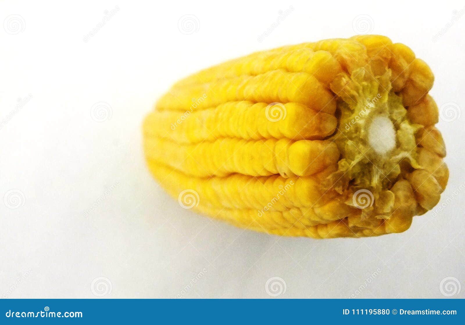 Corn Cob Corn Grain Vertical Stock Photo - Image of vegetables ...