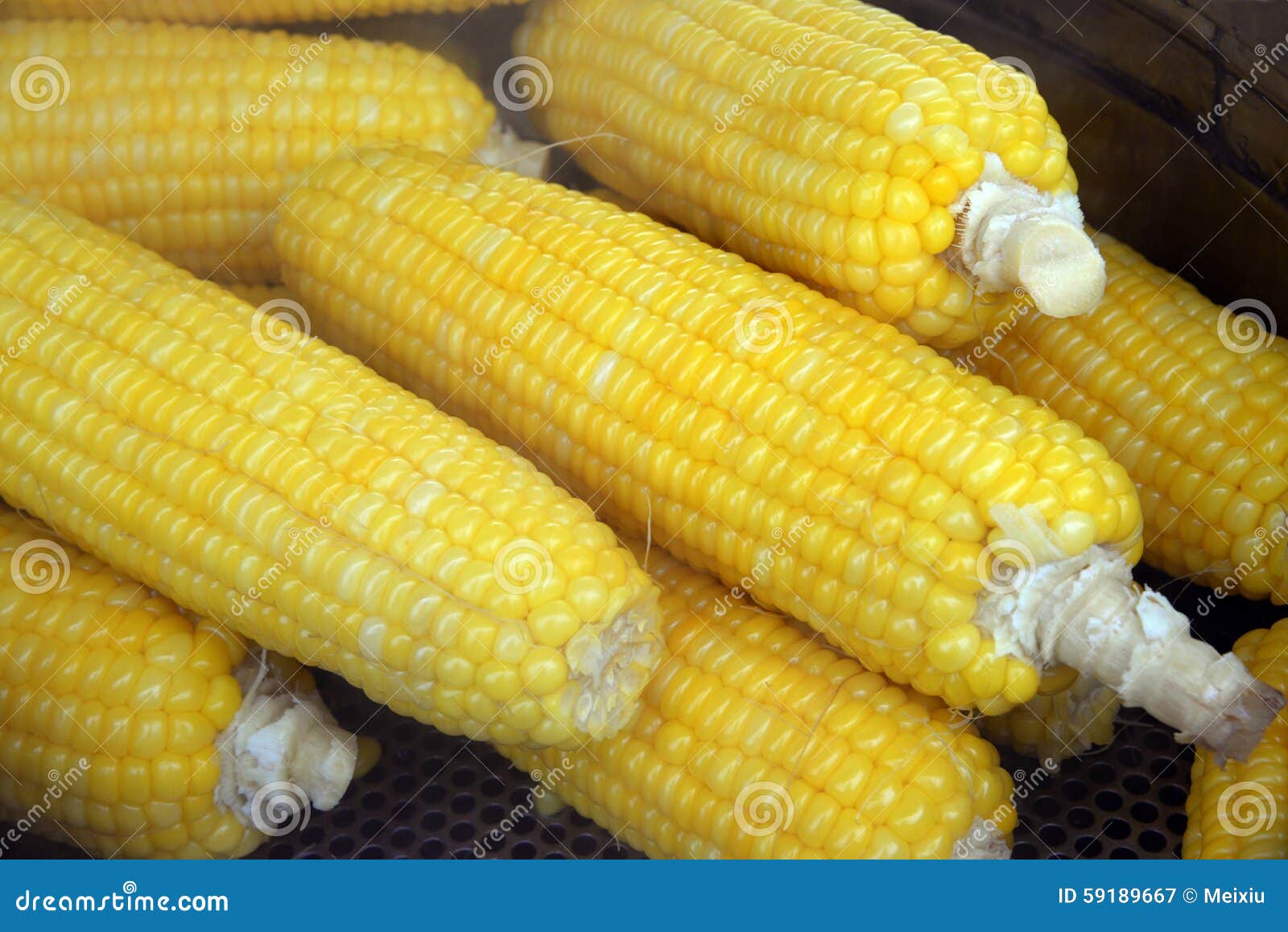 Corn on the cob stock image. Image of display, kernel - 59189667