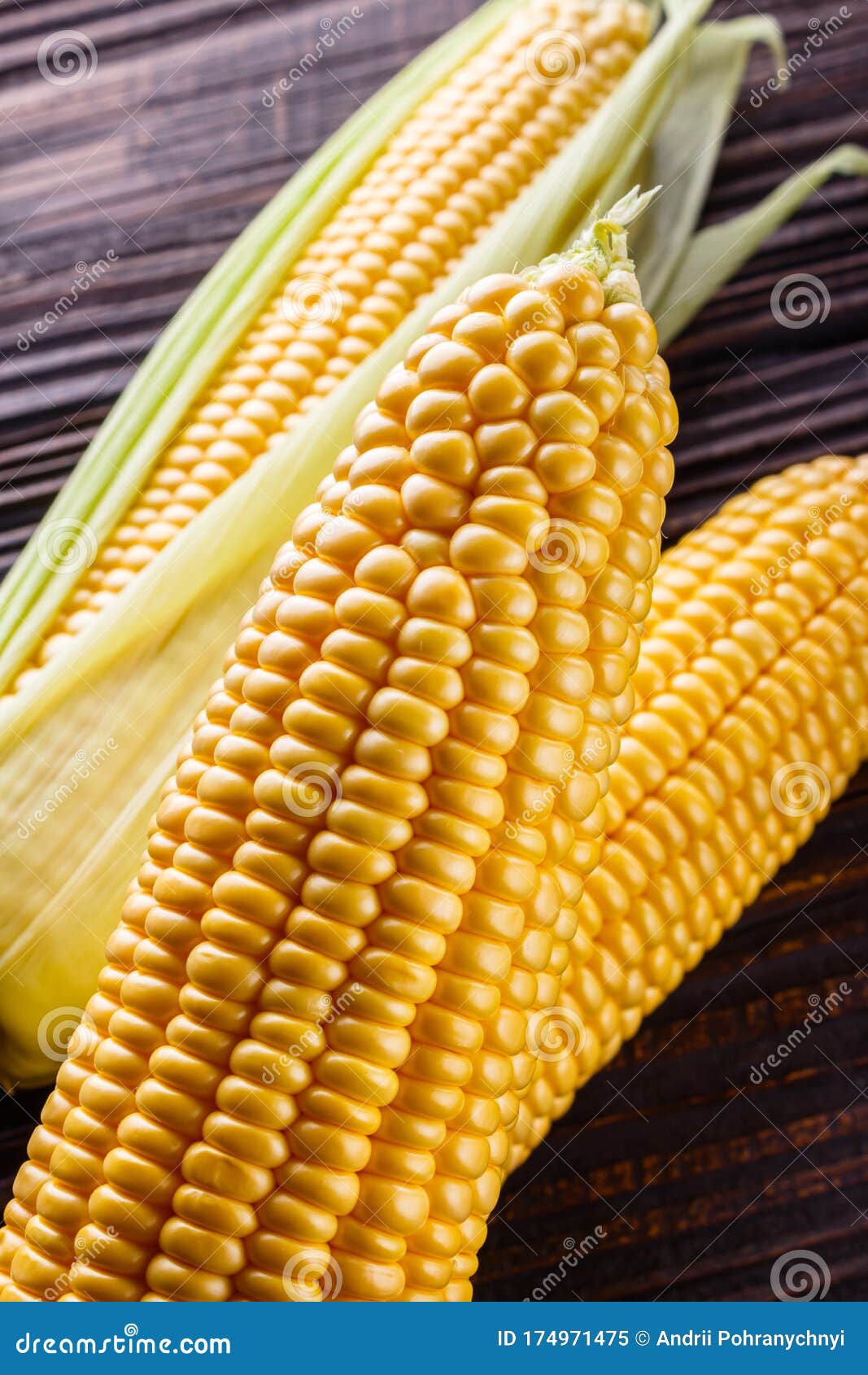 Corn Cob on Dark Wooden Rustic Background Stock Image - Image of ...
