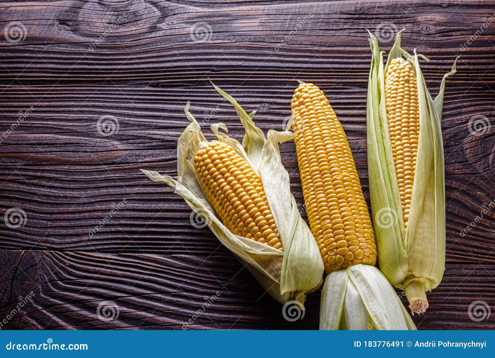 Corn Cob on Dark Wooden Rustic Background Stock Image - Image of grain ...