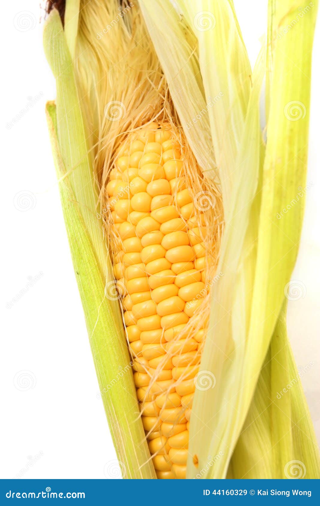 Corn cob stock image. Image of vegetable, golden, sweetcorn - 44160329