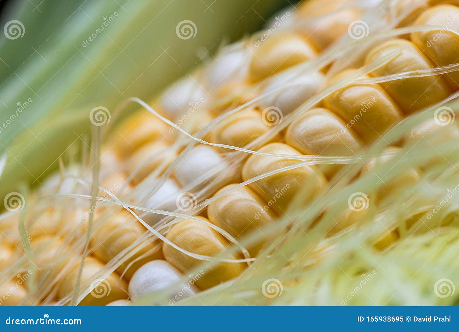 Corn cob extreme closeup stock image. Image of macro - 165938695