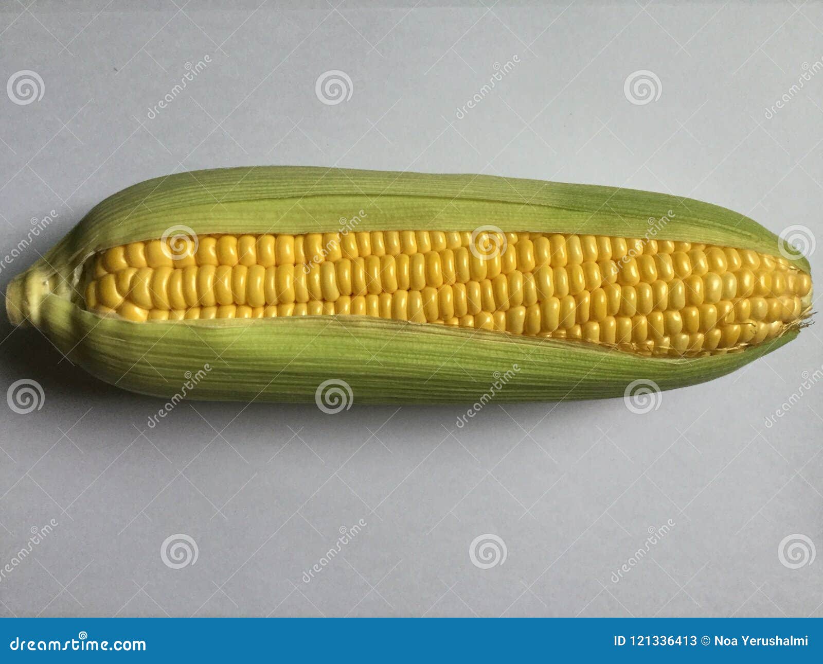 Corn Cob. Fresh. Isolated. stock image. Image of ears - 121336413 Corn Cob. Fresh. Isolated. stock image. Image of ears - 121336413