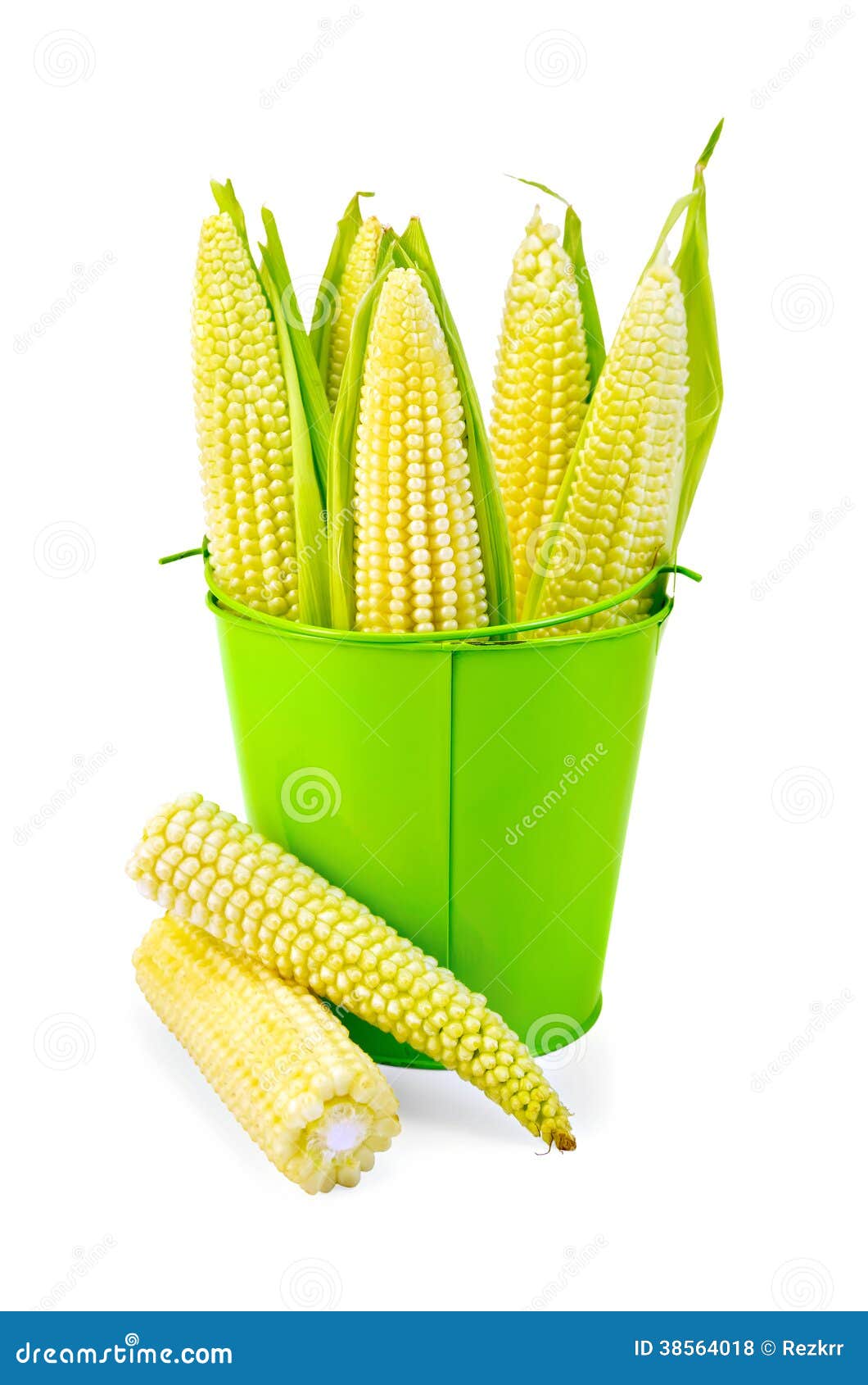 Corn on the Cob in a Green Bucket Stock Photo - Image of culture, husk ...