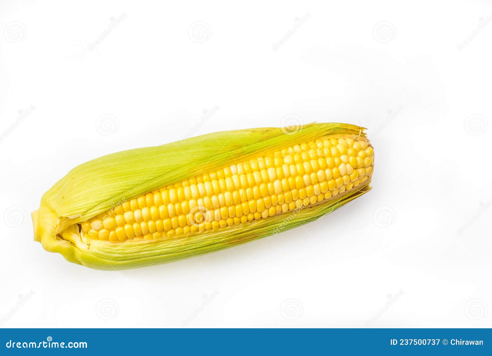 Corn Cob with Green Leaves Isolated on White Background Stock Image ...