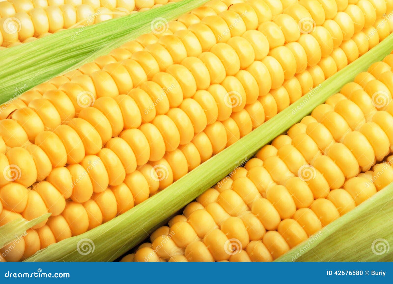Corn cob stock photo. Image of delicious, fragrant, fresh - 42676580