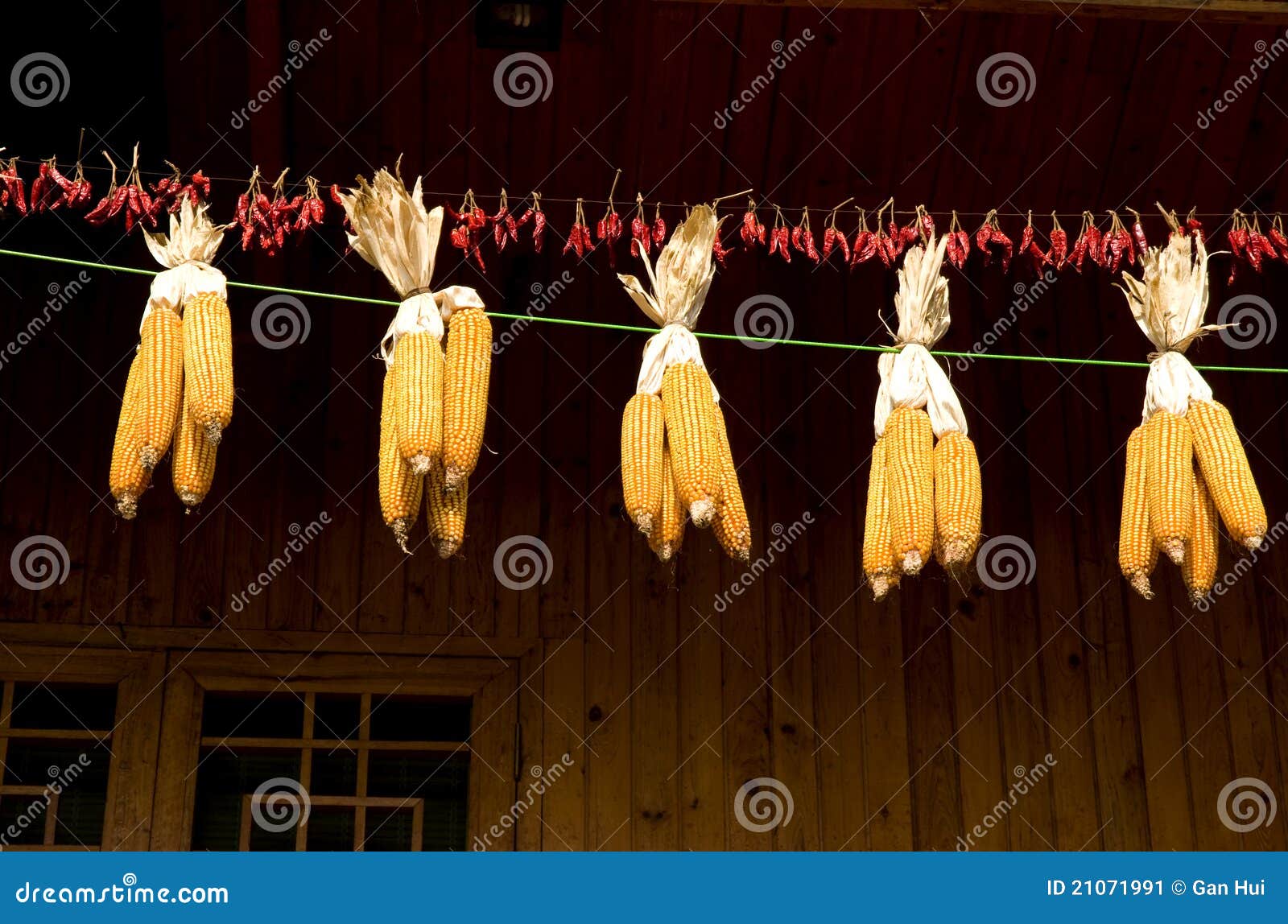 Corn Cob Hung in Wooden House Stock Image - Image of dried, ripe: 21071991